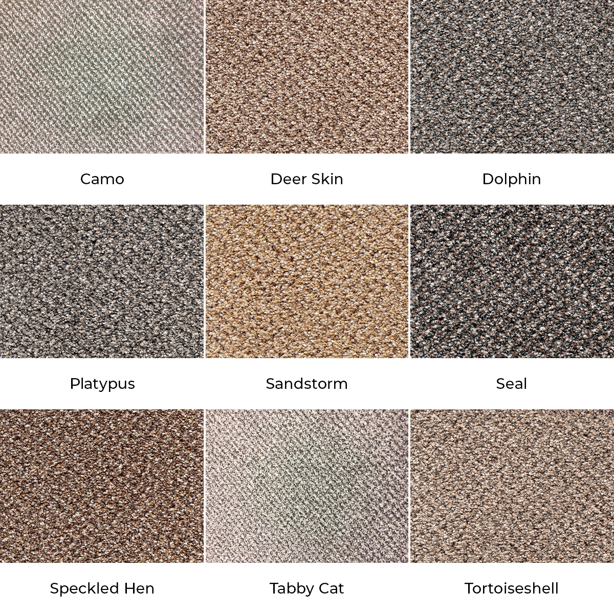 Caravelli Carpet - Glasswells