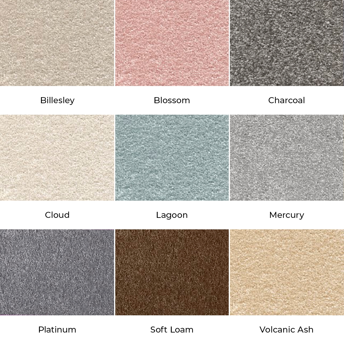Panache Carpet - Glasswells