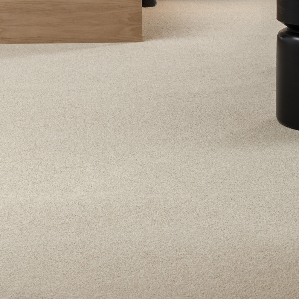 Dream Touch Carpet - Glasswells
