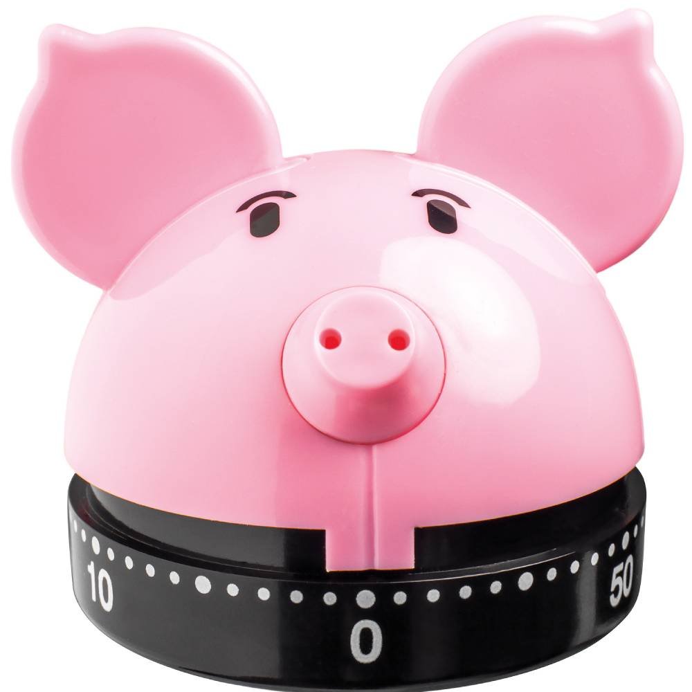 Judge Piggy Timer - Glasswells