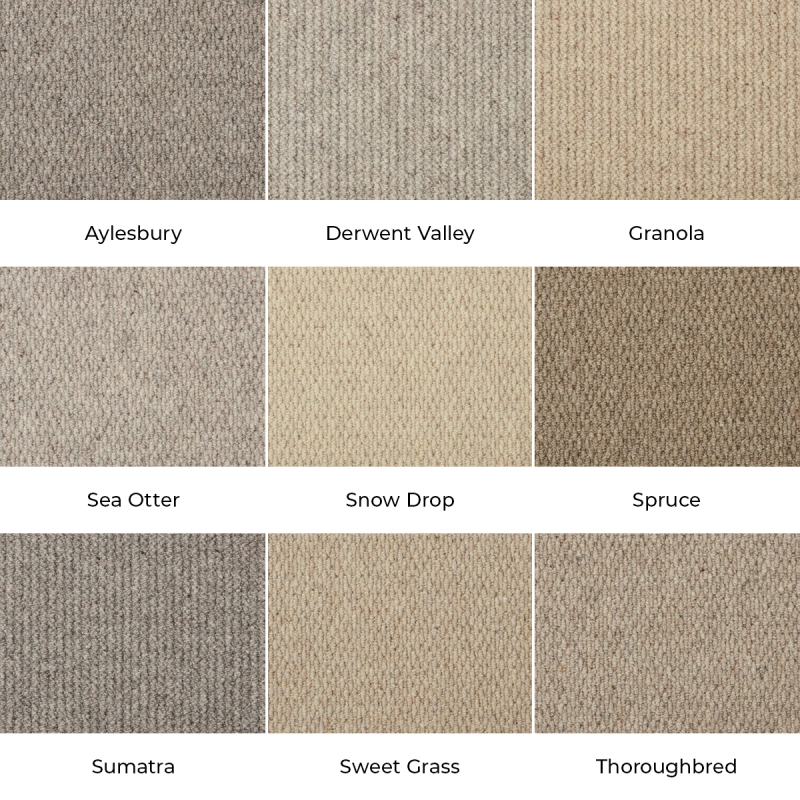 Carpets | Over 10,000 Choices | Region's Number One Choice: Page 2 ...
